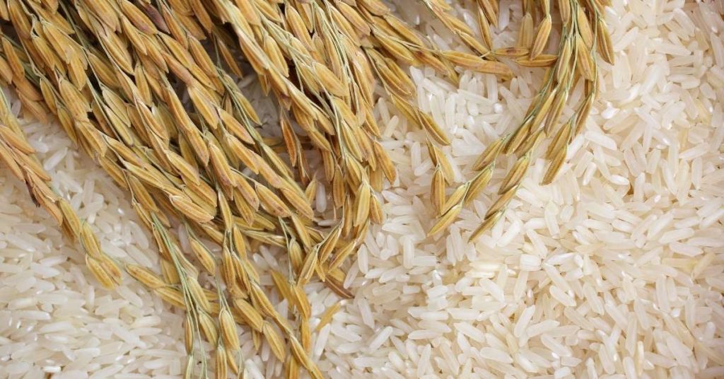 Bagging Equipment by Product | Tinsley Equipment Company LLC