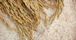 Rice Bagging Equipment: Weigh, Fill, Seal, and Palletize